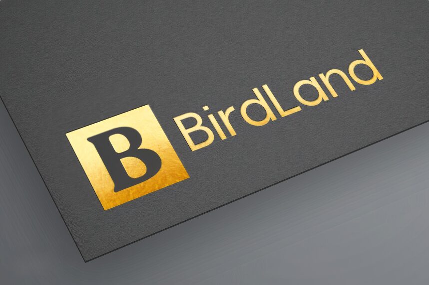 Logo Branding & Web Design - Superior Roofing & Exteriors